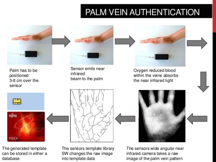 Will Palm Vein Patterns become the New Identification? - Different Truths
