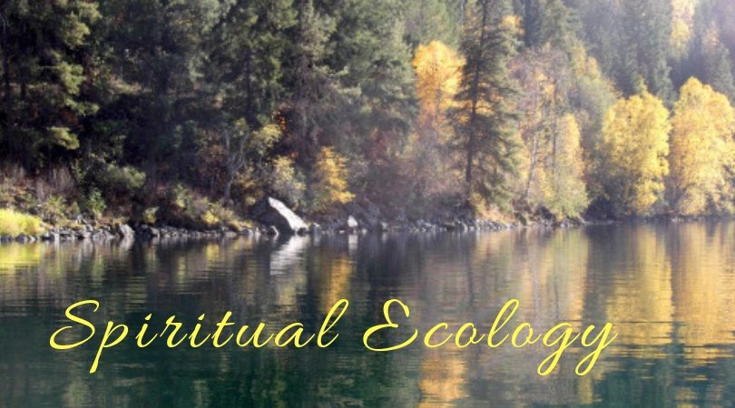 Nature Worship: The Way Ahead for Our Planet Sacred Earth Trust