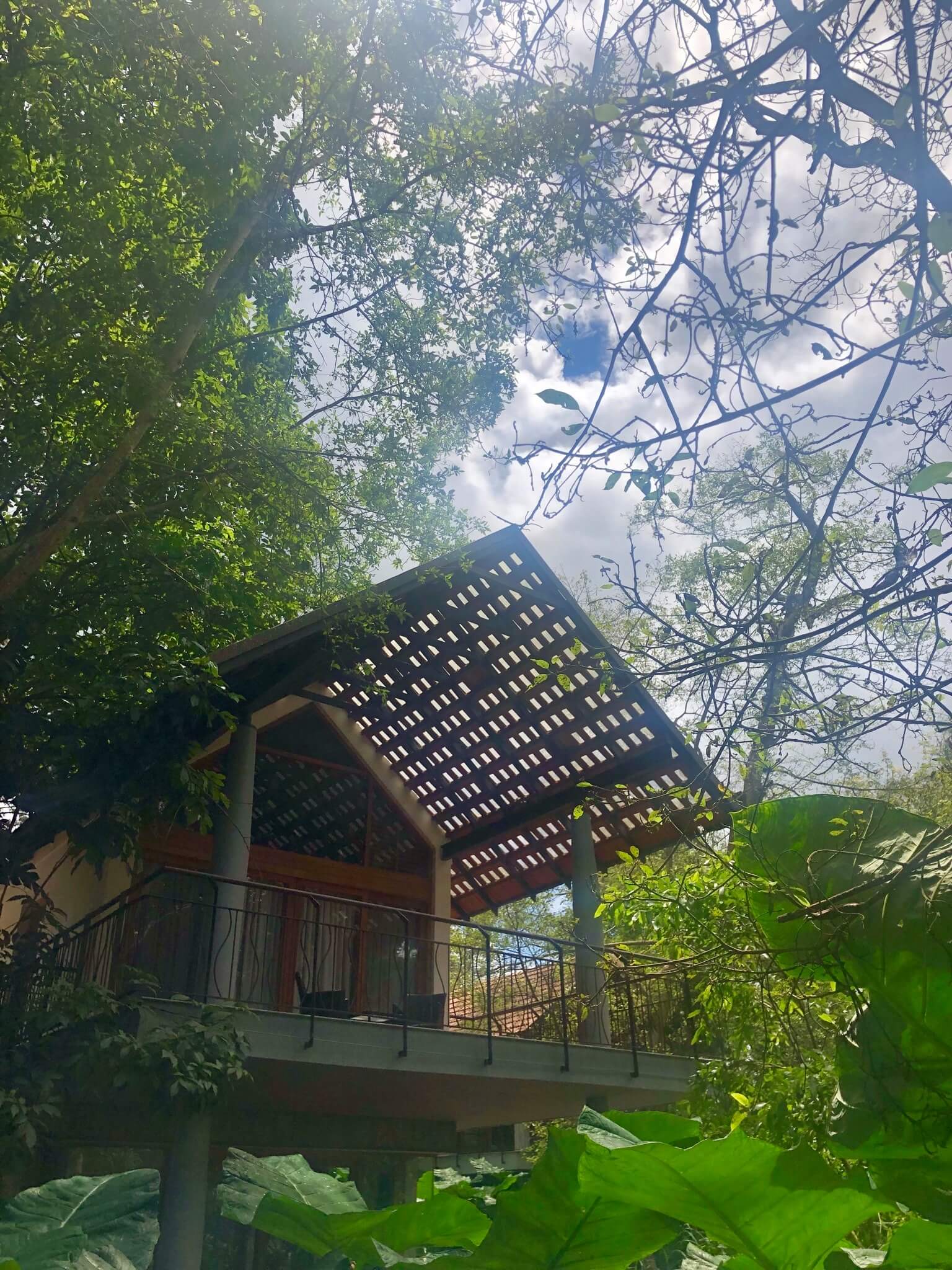 Coorg: Neelakurinji Flowers, Pepper Vines, Coffee Plantations & More ...