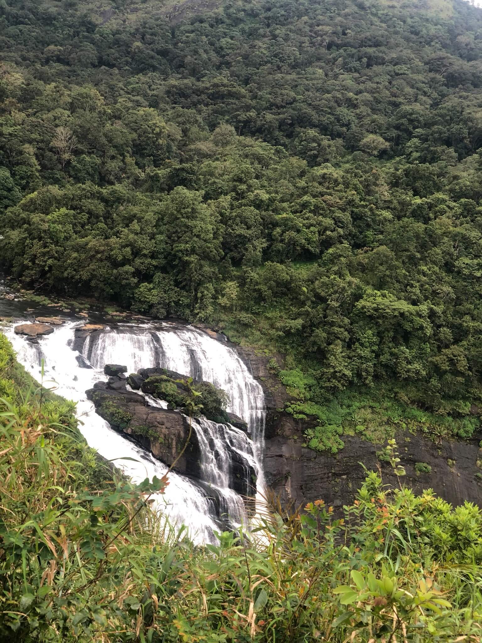Coorg: Neelakurinji Flowers, Pepper Vines, Coffee Plantations & More ...